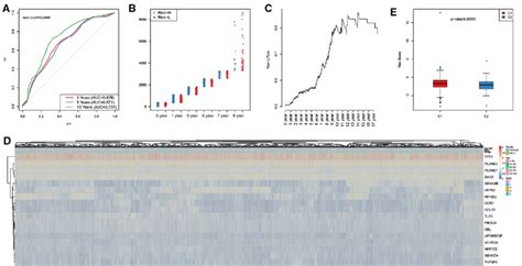Verification Of The Reliability Of The Prognostic Prediction Model
