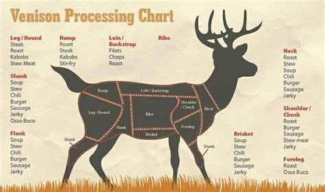 Infos Image By Lysa Talbert Deer Meat Venison Deer Processing