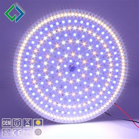 24v 5 Colores Rgb T D 250 Mm 10 Pulgadas Alto Cri Ra95 Fabricantes