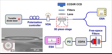 The Experimental Setup For Generation Of Microwave Signal From Download Scientific Diagram