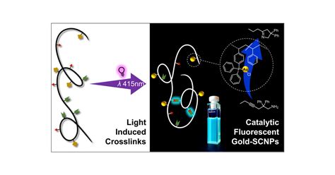 Fluorescent And Catalytically Active Single Chain Nanoparticles