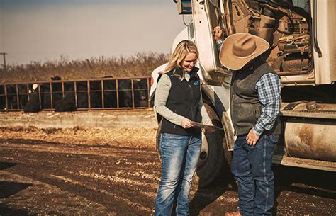 Considerations When Building Your Cattle Vaccination Program