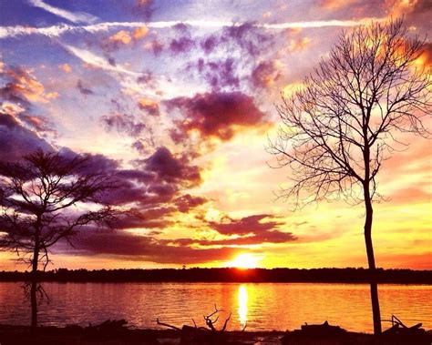 The 30 Best Things To Do In Livingston 2026 Must See Attractions