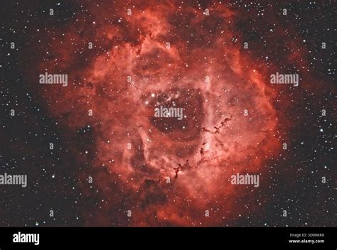 Rosette Nebula Ngc 2237 Hii Region And Stellar Nursery In Monoceros