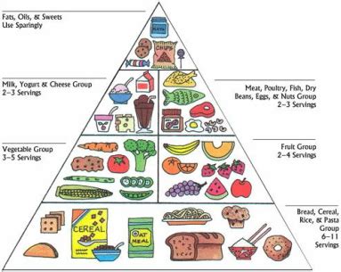Food Pyramid Food 4 Teens