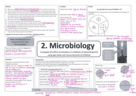 Microscopy And Microbiology Required Practical Revision 9 1 Aqa Teaching Resources