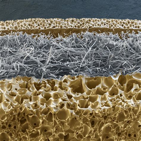 Tielle Dressing Photograph By Meckes Ottawa Fine Art America