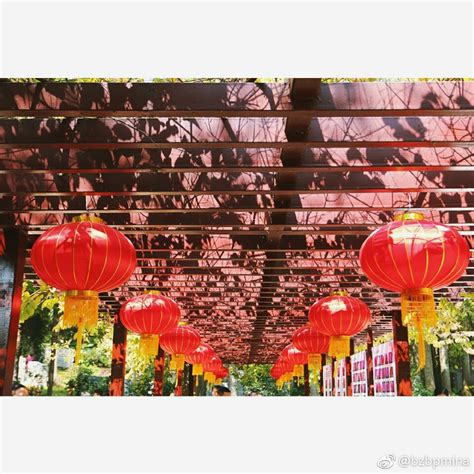 红红火火过大年，恭祝摄友们 阖家幸福，身体健康，狗年旺旺旺 摄友 旺旺 身体 新浪新闻