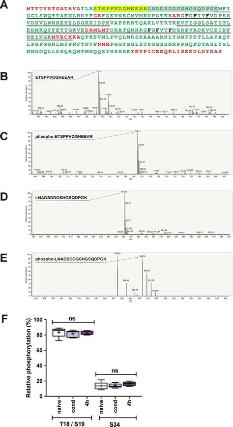 Identification Of Phosphorylated Amino Acid Residues In C Elegans