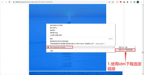 Idm嗅探插件是什么 资源嗅探器插件怎么用 Idm中文网站