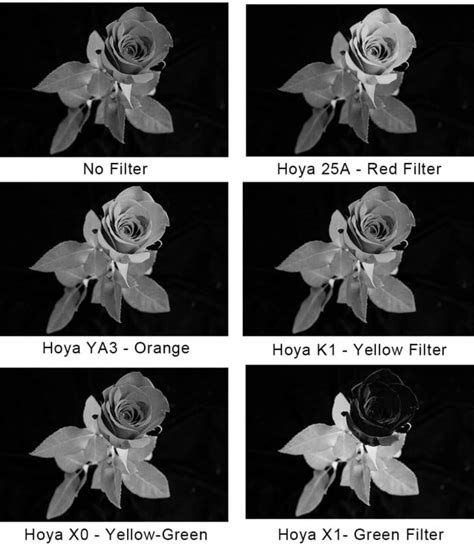 Color Filters For Black And White Photography A Complete Guide PetaPixel