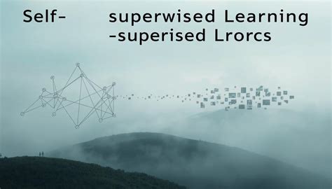 Lernen Ohne Labels Der Aufstieg Des Self Supervised Learning