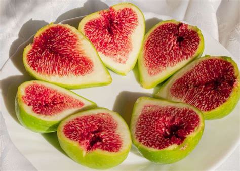 Limpact De La Figue Sur Notre Bien être Les Commis