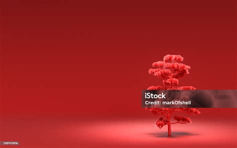 복사 공간 3d 렌더링이 있는 빨간색 배경에 단색 단색 단색 색의 장식이없는 단일 크리스마스 트리 0명에 대한 스톡 사진 및 기타 이미지 Istock