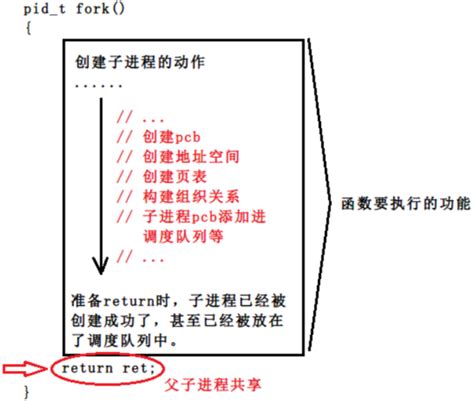 Linux进程控制 详解 技术分享 云服务器