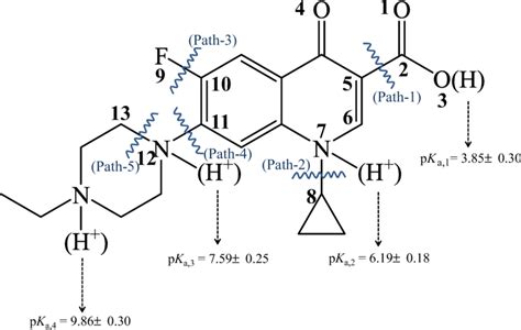 Structural Formulae Of Enro And Numbering Scheme For Atomic Positions