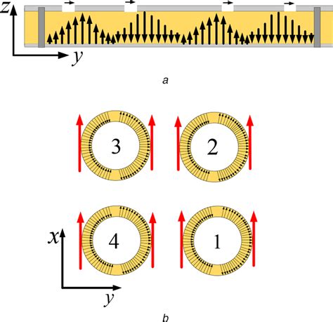 Electric Field Vector Orientation A Along The Radial Direction B Download Scientific