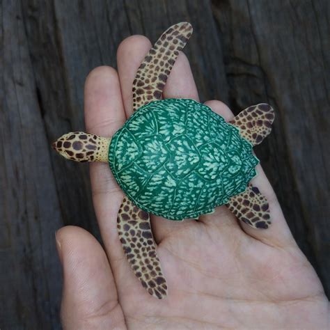 Clay Turtle Shell