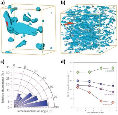 Surfacerendered Views Of Segmented FIBSEM For Composite Membranes Download Scientific Diagram