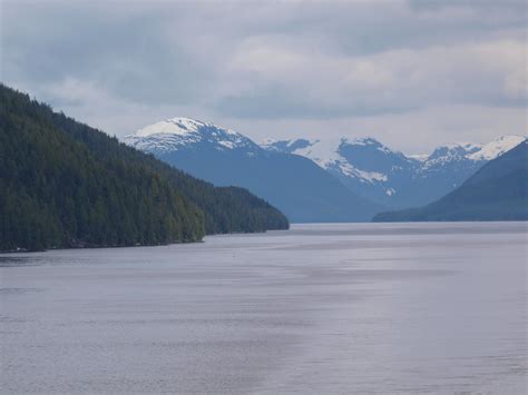 P6051335 Gene Salassi Flickr