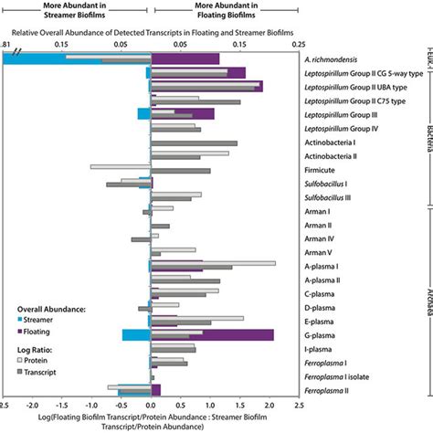 Relative Abundance Of Detected Transcripts And Proteins Per Organism In Download Scientific