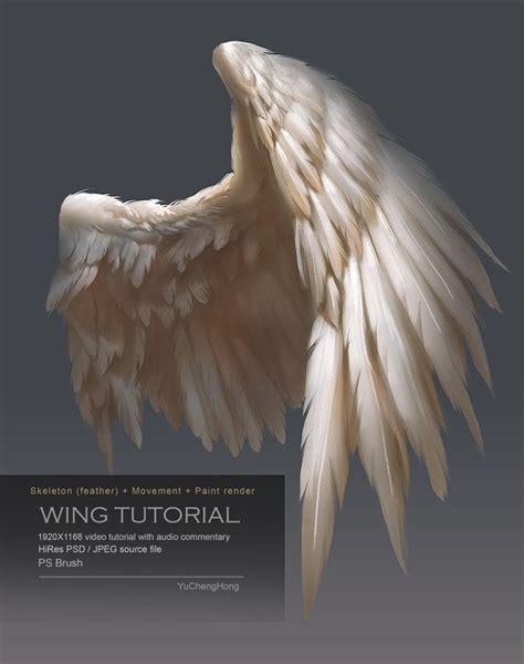 For People Who May Interested How To Draw And Paint Bird Wings If You Are Interested Please