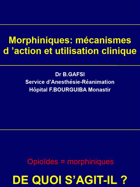 Morphiniques Pdf