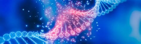 Advances In Esr1 Mutated Metastatic Breast Cancer Treatment