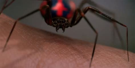 Genetically Engineered Super Spider Earth 96283gallery Marvel Database Fandom