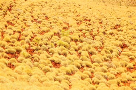 Particle 101 Wave Energy Particle