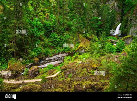 Wahclella Falls Columbia River Gorge National Scenic Area Oregon Usa