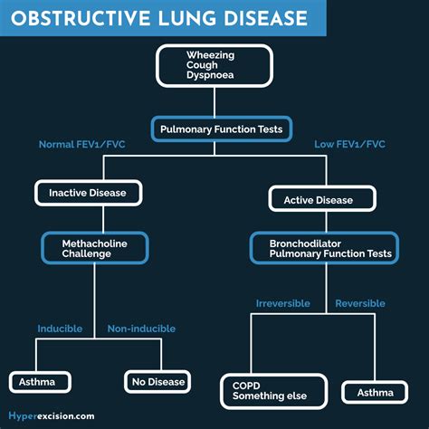 Chronic Obstructive Pulmonary Disease Copd Hyperexcision
