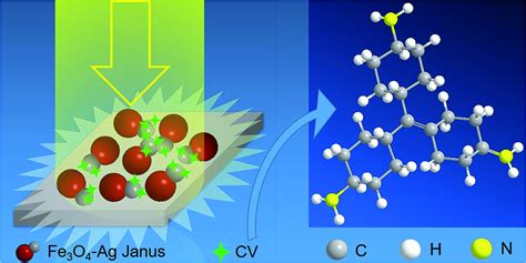 A Scheme Showing The Electromagnetic Effect Of Sers For The Fe3o4 Ag Download Scientific