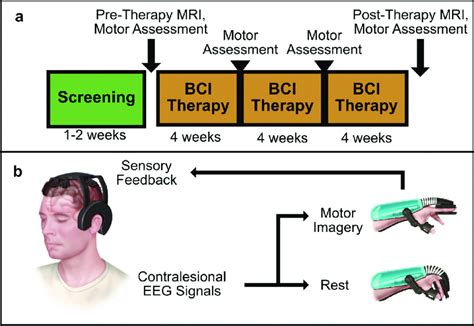 Bci Intervention Protocol And System Design Overview A Protocol Download Scientific Diagram