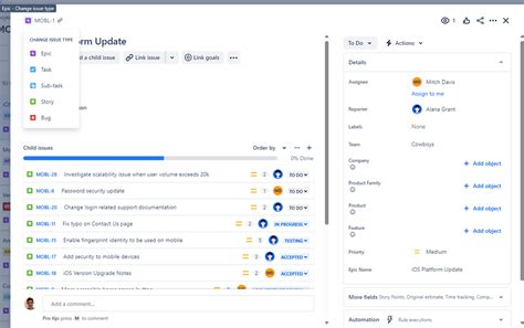 Solved Jira Issue Type