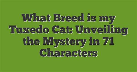 What Breed Is My Tuxedo Cat Unveiling The Mystery In 71 Characters