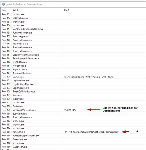 WinAPI GetProcessCommandLine funktioniert scheinbar nicht mehr Hilfe Unterstützung
