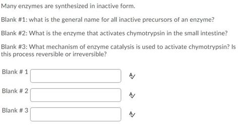 Solved Many Enzymes Are Synthesized In Inactive Form Blank