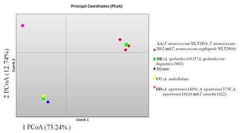 Principle Coordinate Analysis Download Scientific Diagram