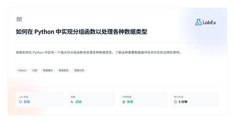如何在 python 中实现分组函数以处理各种数据类型 labex