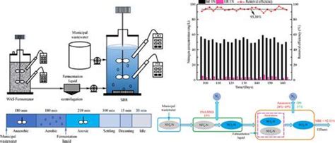 通过短程硝化 反硝化和部分厌氧氨氧化法，添加污泥发酵液可在低c N比的城市废水中实现高级脱氮 Frontiers Of Environmental Science