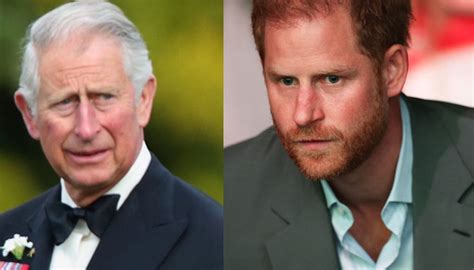 King Charles Thinks Prince Harry Does Not Exist Anymore