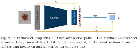 Improving Explainability Of Disentangled Representations Using Multipath Attribution Mappings