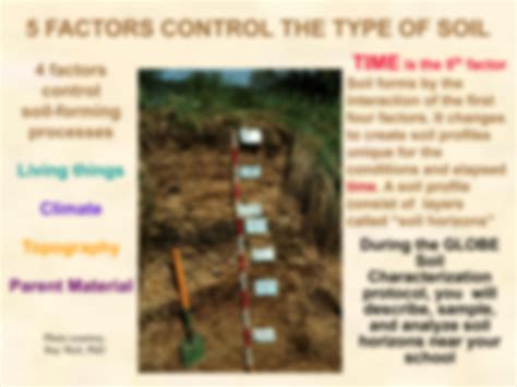 SOLUTION: How Does Soil Form? - Studypool