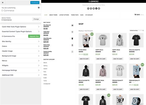 Ecommerce Wordpress Theme With Woocommerce Plugin