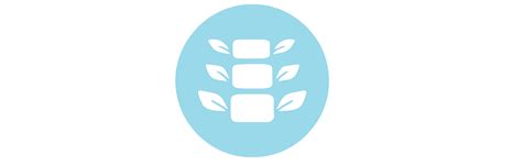 Breast Implant And Brachial Plexus Impingement By Dr Jessie Hsieh D C Medium