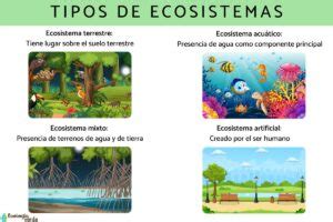 Ejemplos De Sistemas Naturales En Diversos Ecosistemas Del Planeta