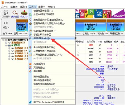 Raid数据恢复 Diskgenius的强大功能