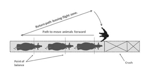 2050 Exam 1 Flashcards Quizlet