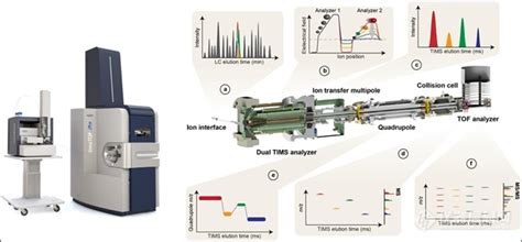布鲁克：基于捕集型离子淌度质谱的4d 蛋白质组学 资讯中心仪器信息网